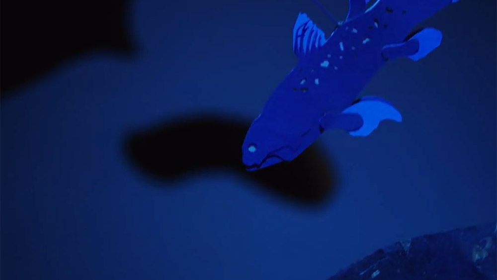 In 1938, a fish thought extinct for 65 million years resurfaced, nearly ...